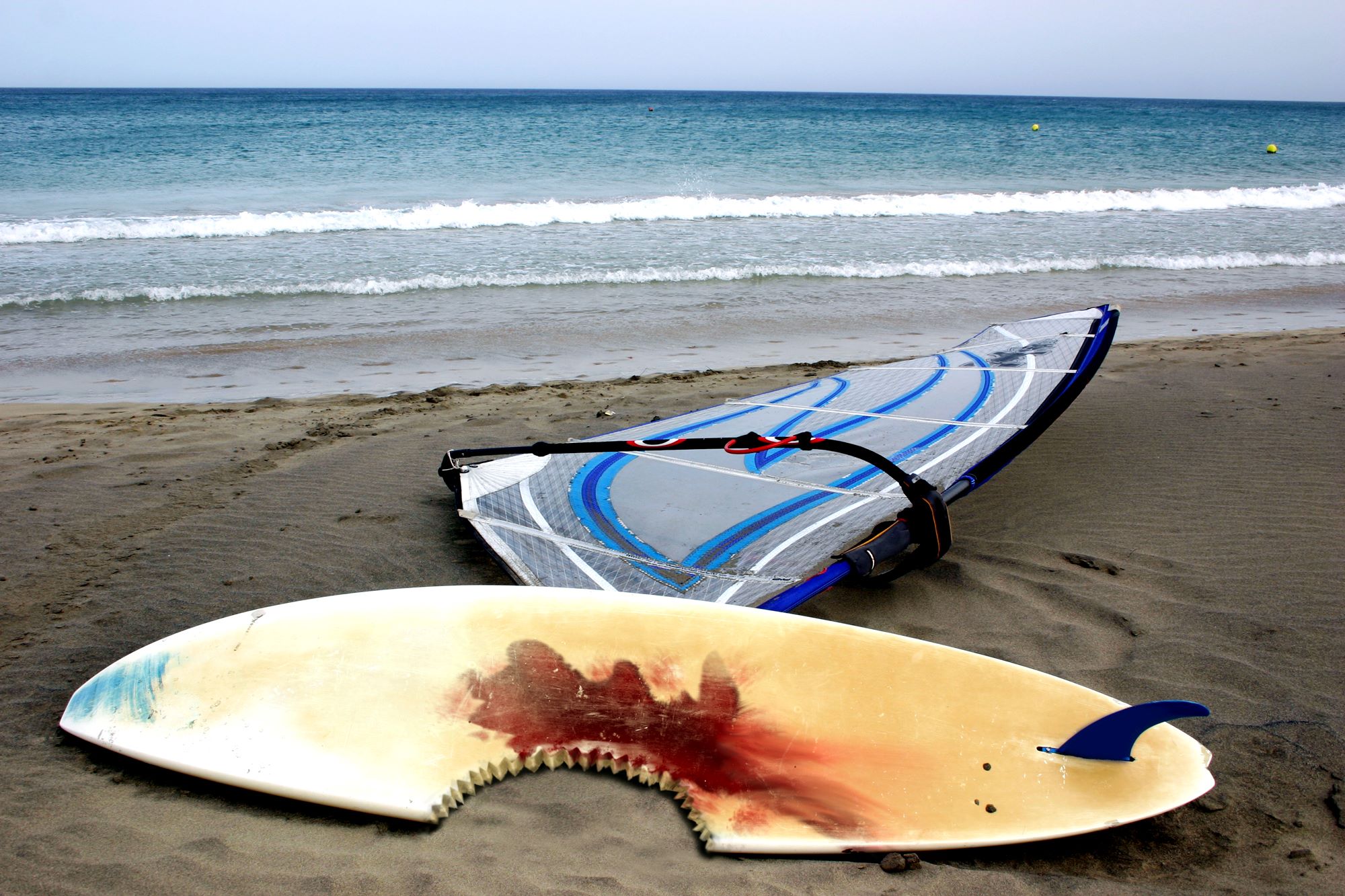 First-aid kits key to quick shark DNA capture – Newsreel