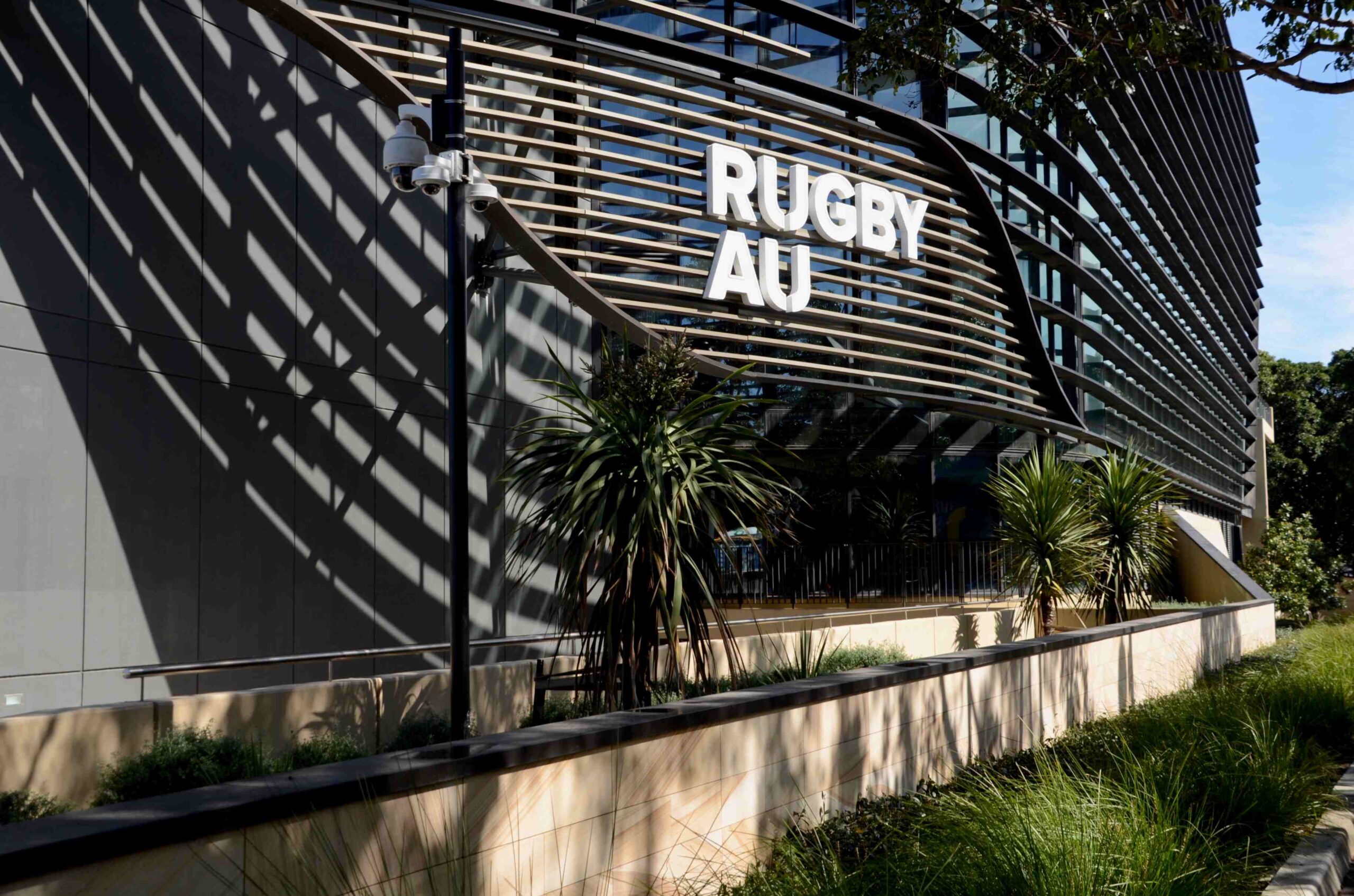 World Cup knock-ons deliver loss for Rugby Australia – Newsreel