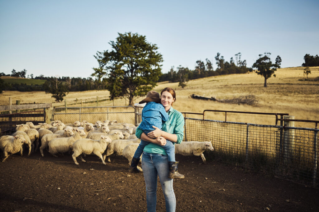 Sheep farmers have ridden a rocky rollercoaster – Newsreel