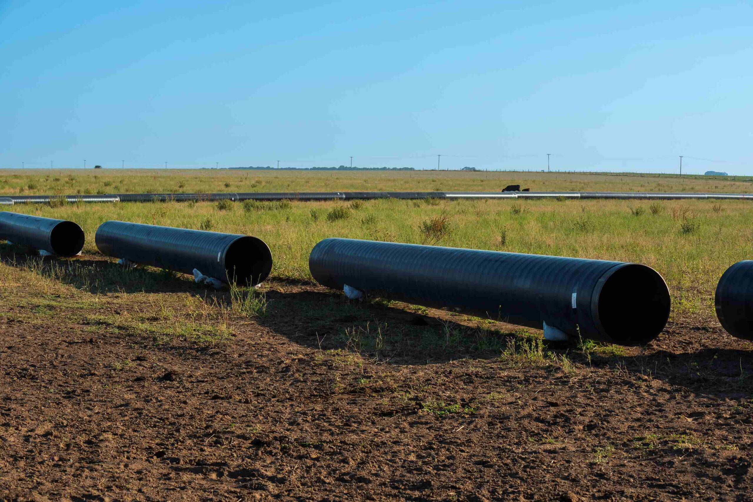 Surat Basin carbon storage project rejected – Newsreel