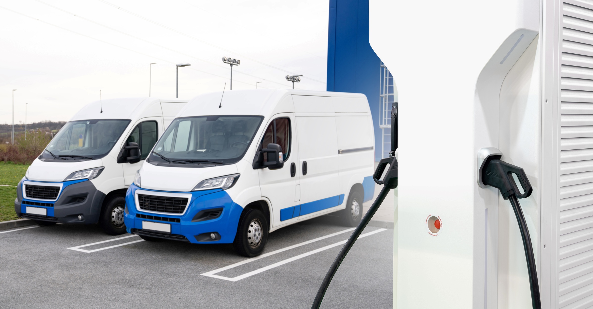 Businesses invest in greener vehicle fleets – Newsreel