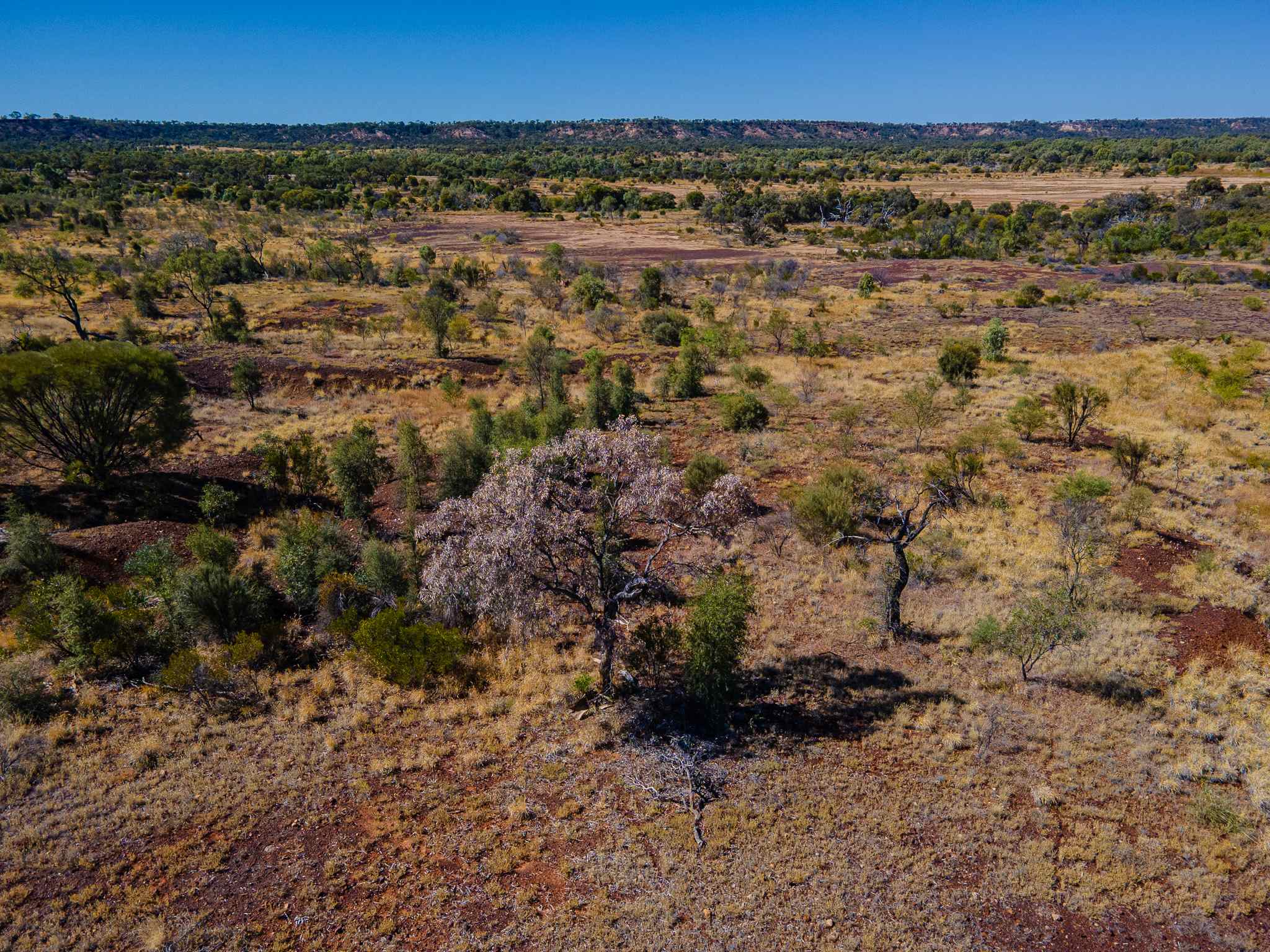 Globally-significant natural springs preserved – Newsreel