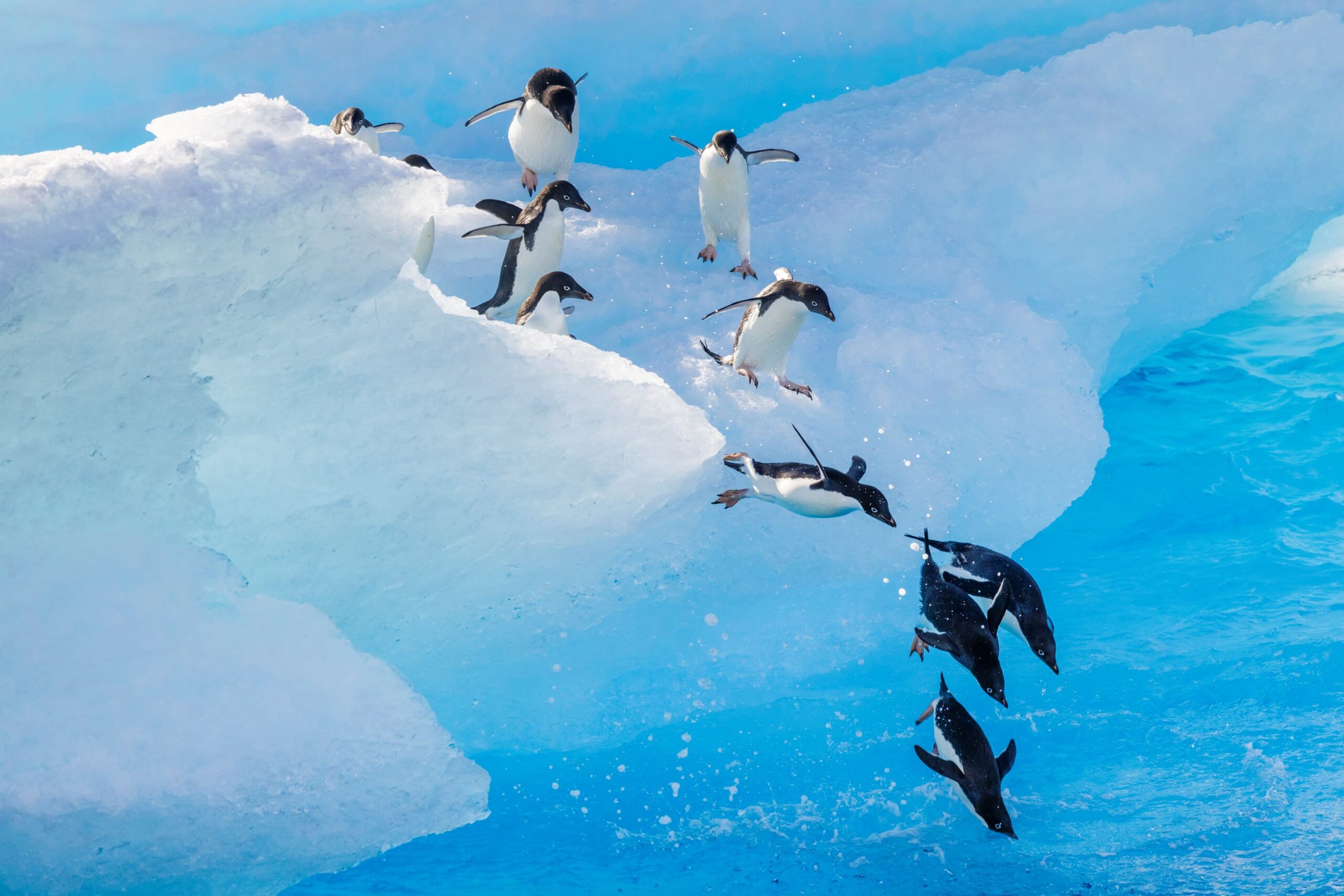 Australia now the world’s greatest ocean protector – Newsreel