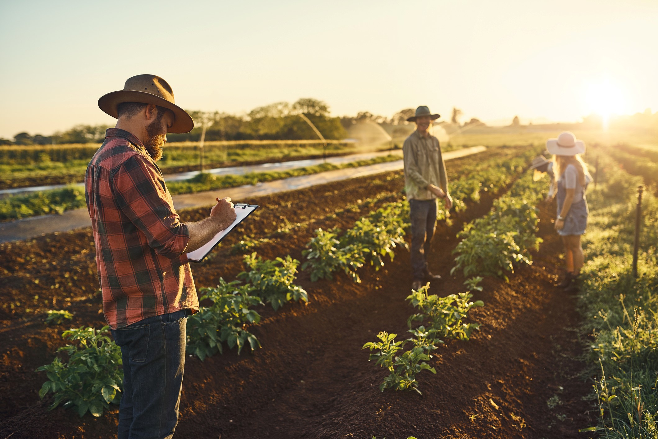RIC review keeps farm business loan rate at 5.18% – Newsreel