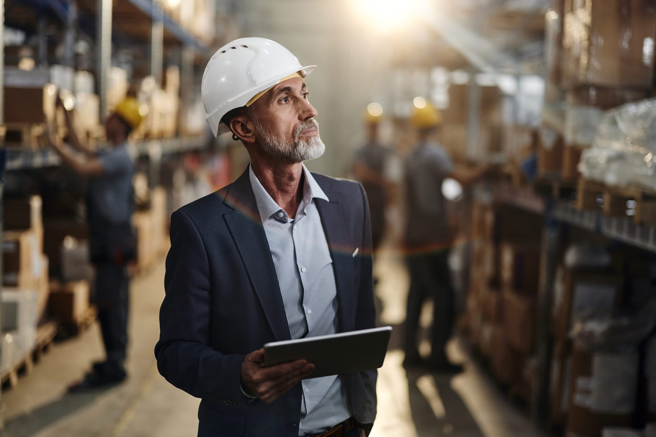 Industry leaders flag weak outlook for 2025 – Newsreel