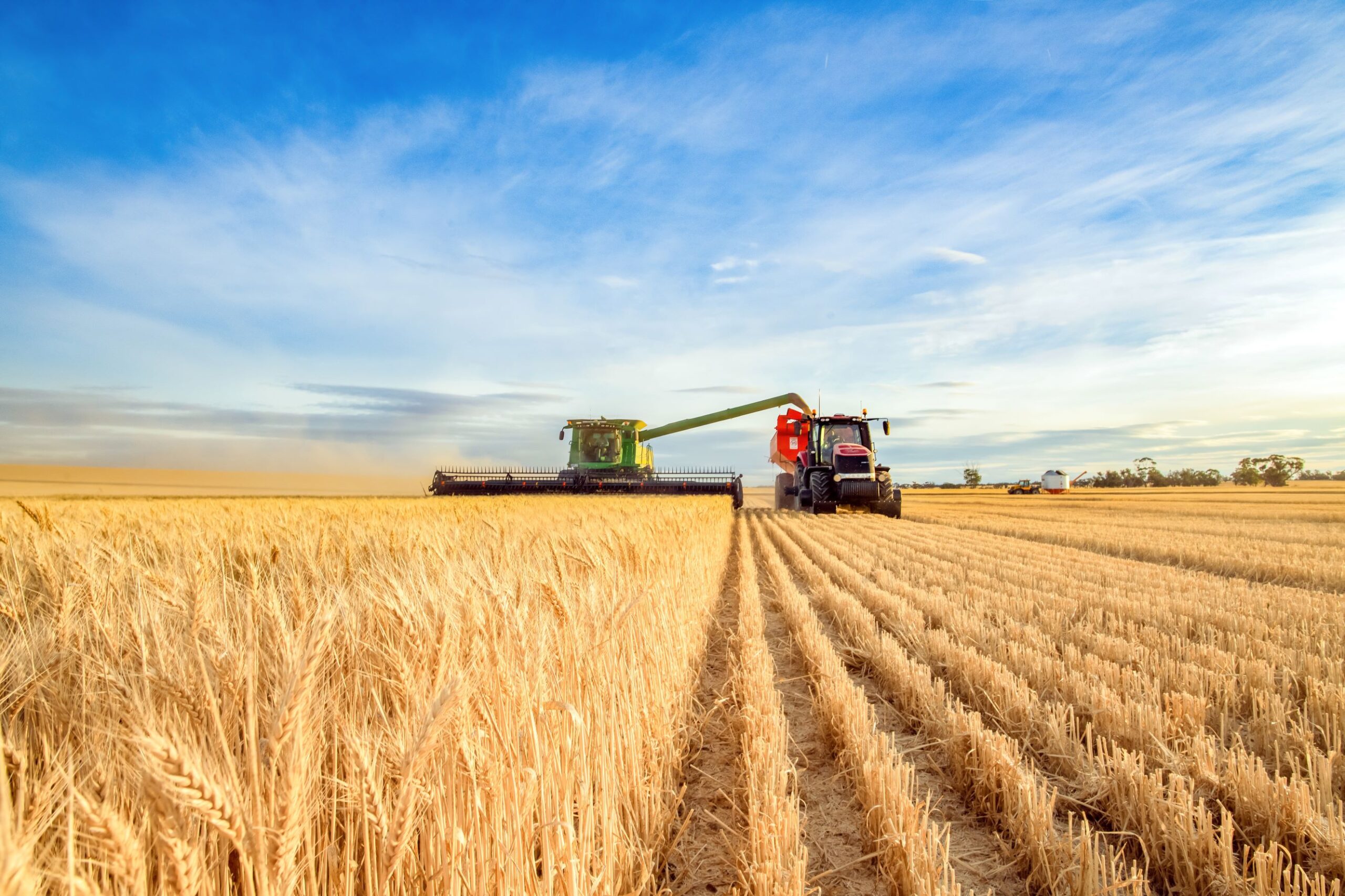 Drier weather drops winter crops by 27 percent – Newsreel