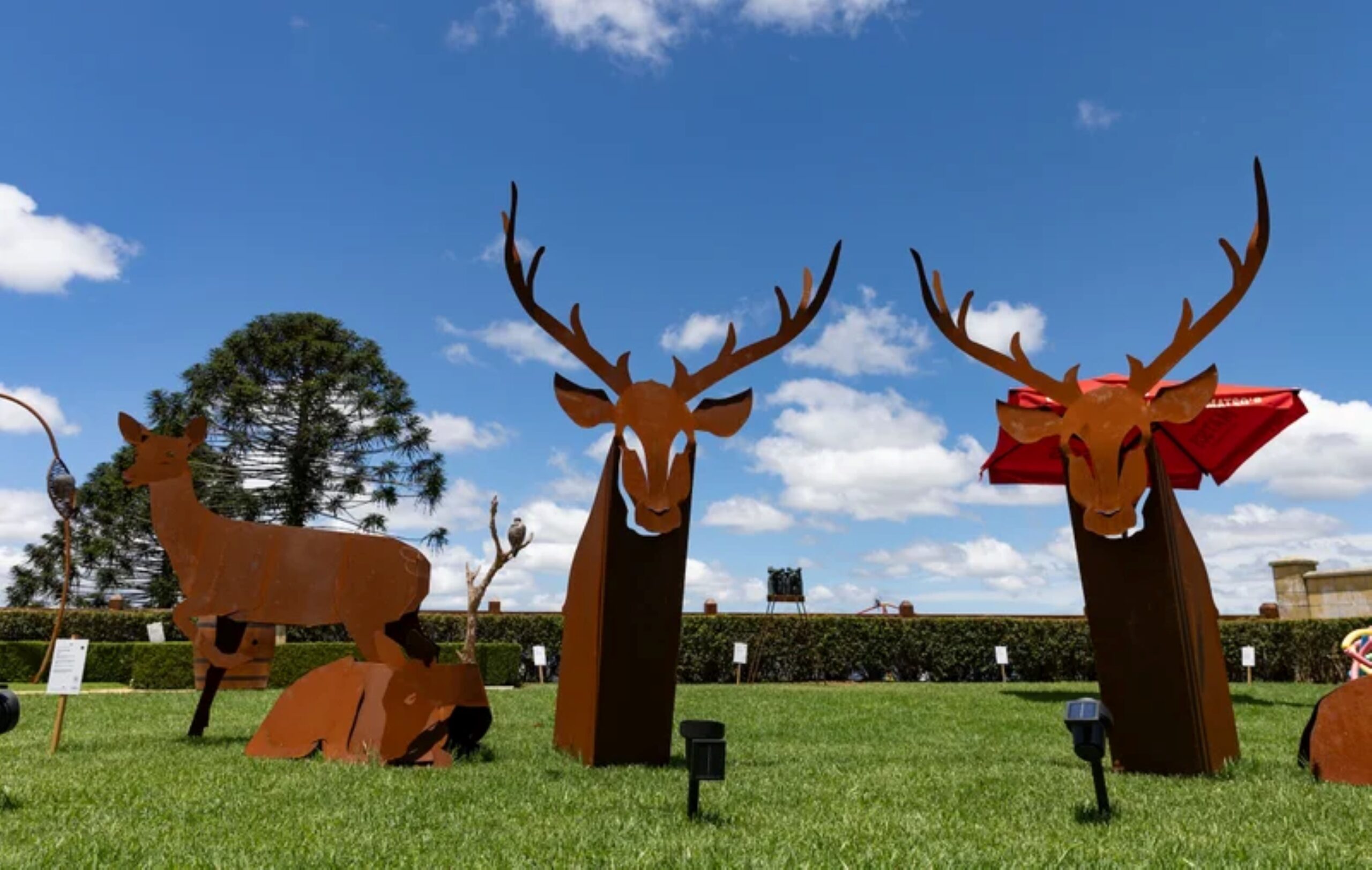 Flaxton Gardens takes art to the Edge – Newsreel