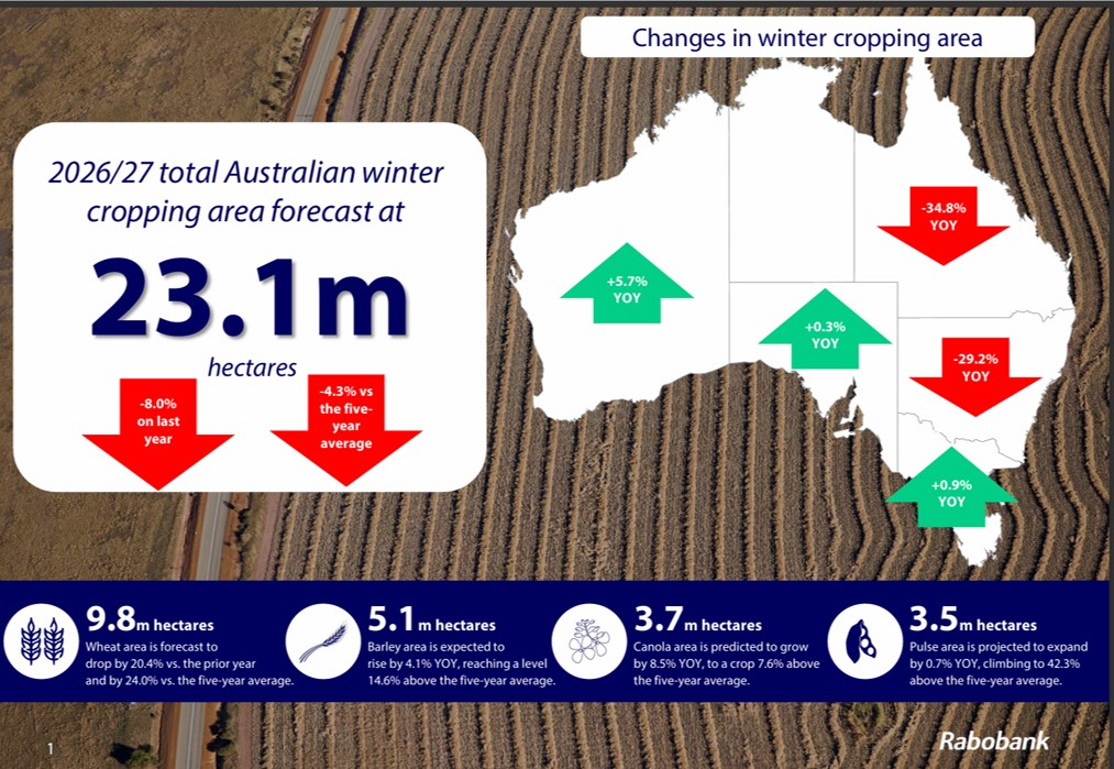 Winter crops impacted by weather and high costs – Newsreel